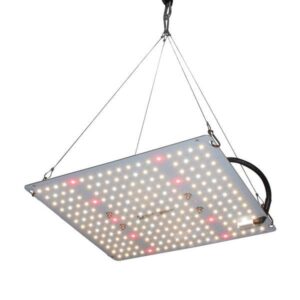 Omega Black 720w LED Grow Light - Grow Guys